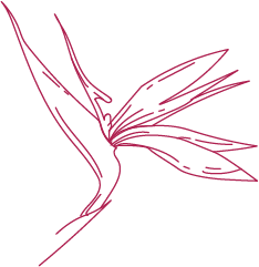 Halfway – Halfway Bar Wollongong